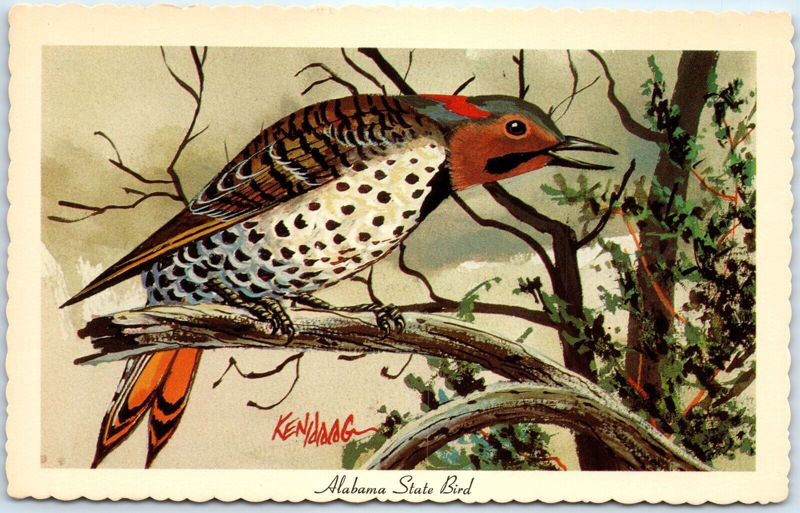 1967 AL Alabama State Bird Yellowhammer Woodpecker Ken Haag Painting ...