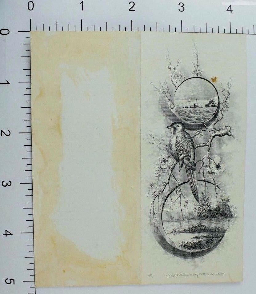 1880 Engraved Folder Card D. Goff & Sons Goff's Braid Lake Sea Wild ...