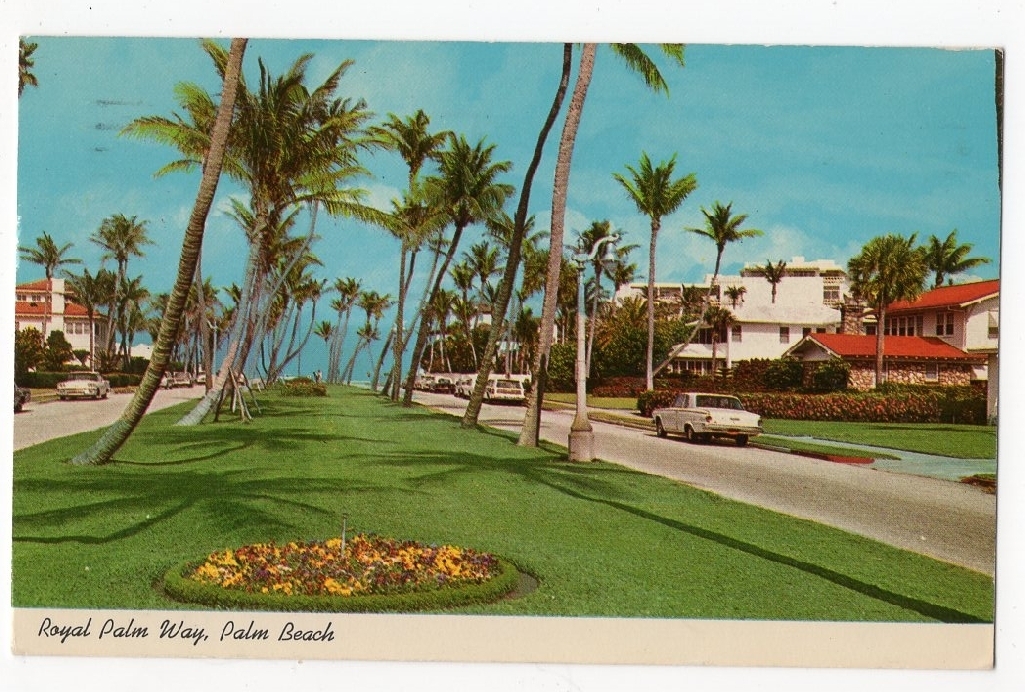 Hp082221 Royal Palm WAY Vintage Palm Beach FL Postcard 1967 | United ...