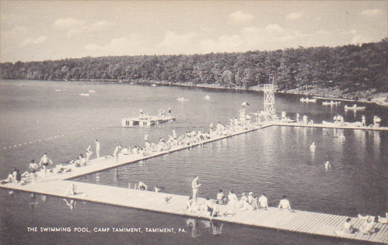 The Swimming Pool Camp Tamiment Tamiment Pennsylvania Artvue | United ...