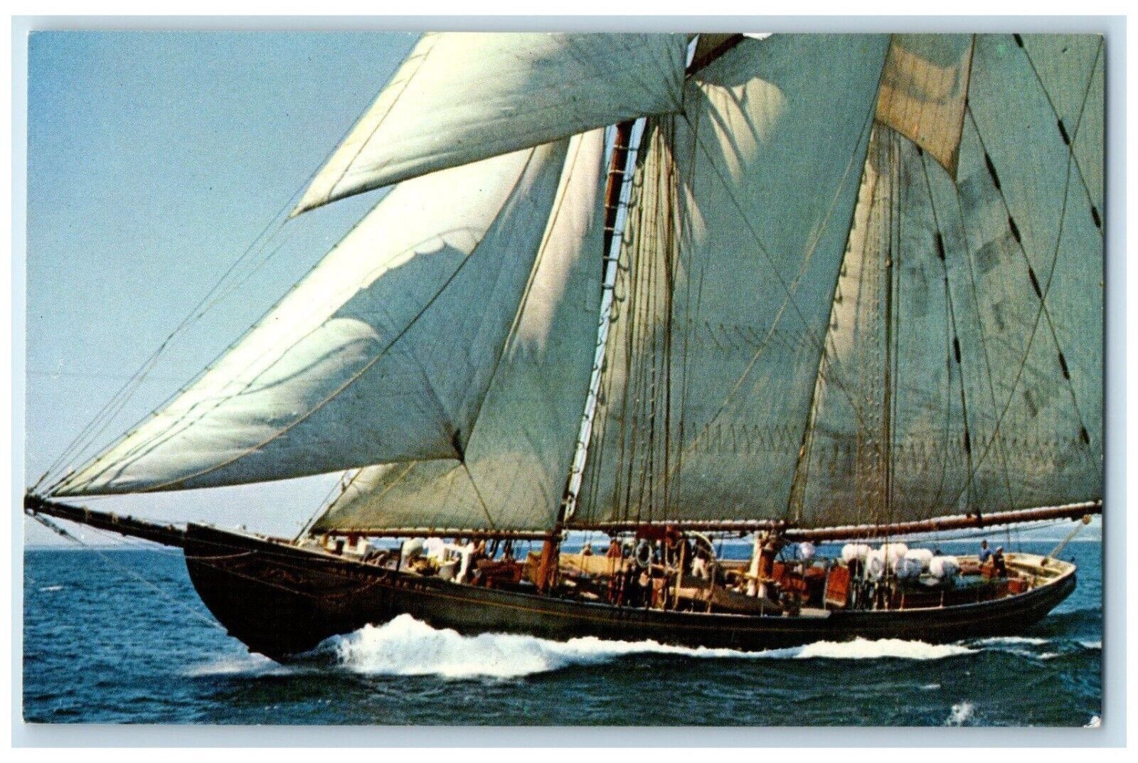 1967 Bluenose II Boat Sailing Oland Breweries NS Canada Expo Postcard ...