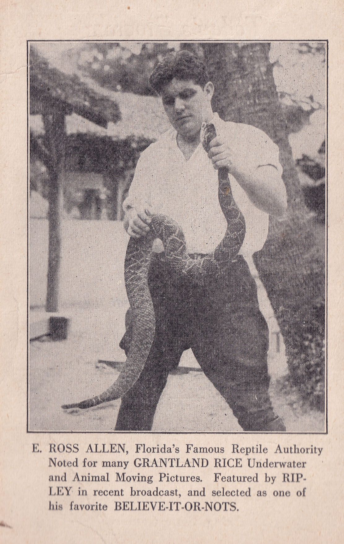 Florida Reptile Snake Zoo Wildlife Park Owner Old Advertising Postcard ...