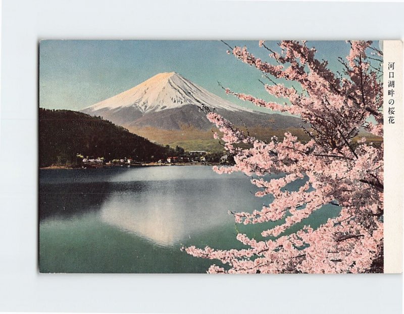 Postcard Spring Cherry Blossoms on the shores of Lake Kawaguchi Japan | Asia & Middle East ...