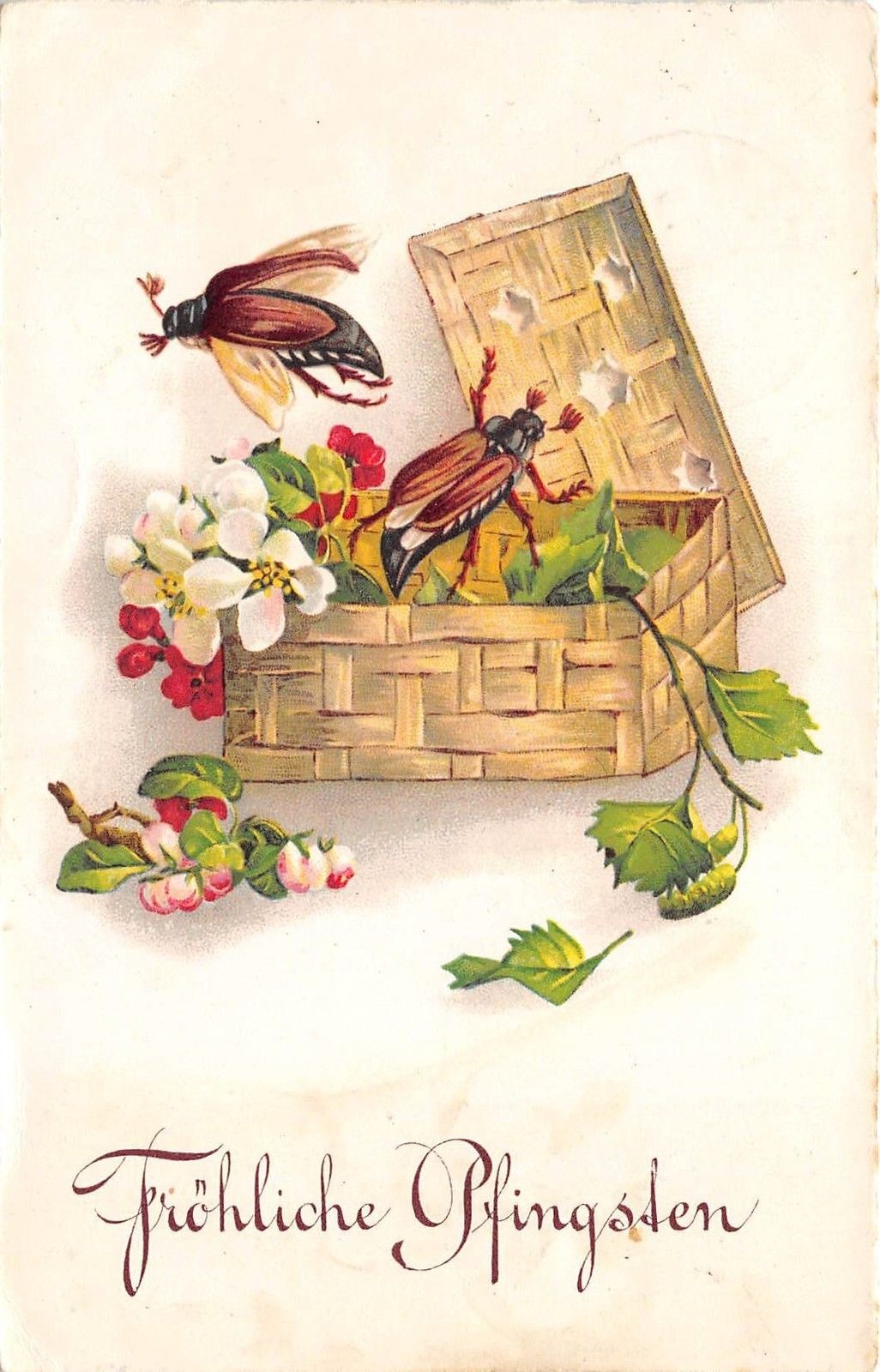 BG8271 beeltle flower pfingsten Pentecost greetings germany | Topics ...