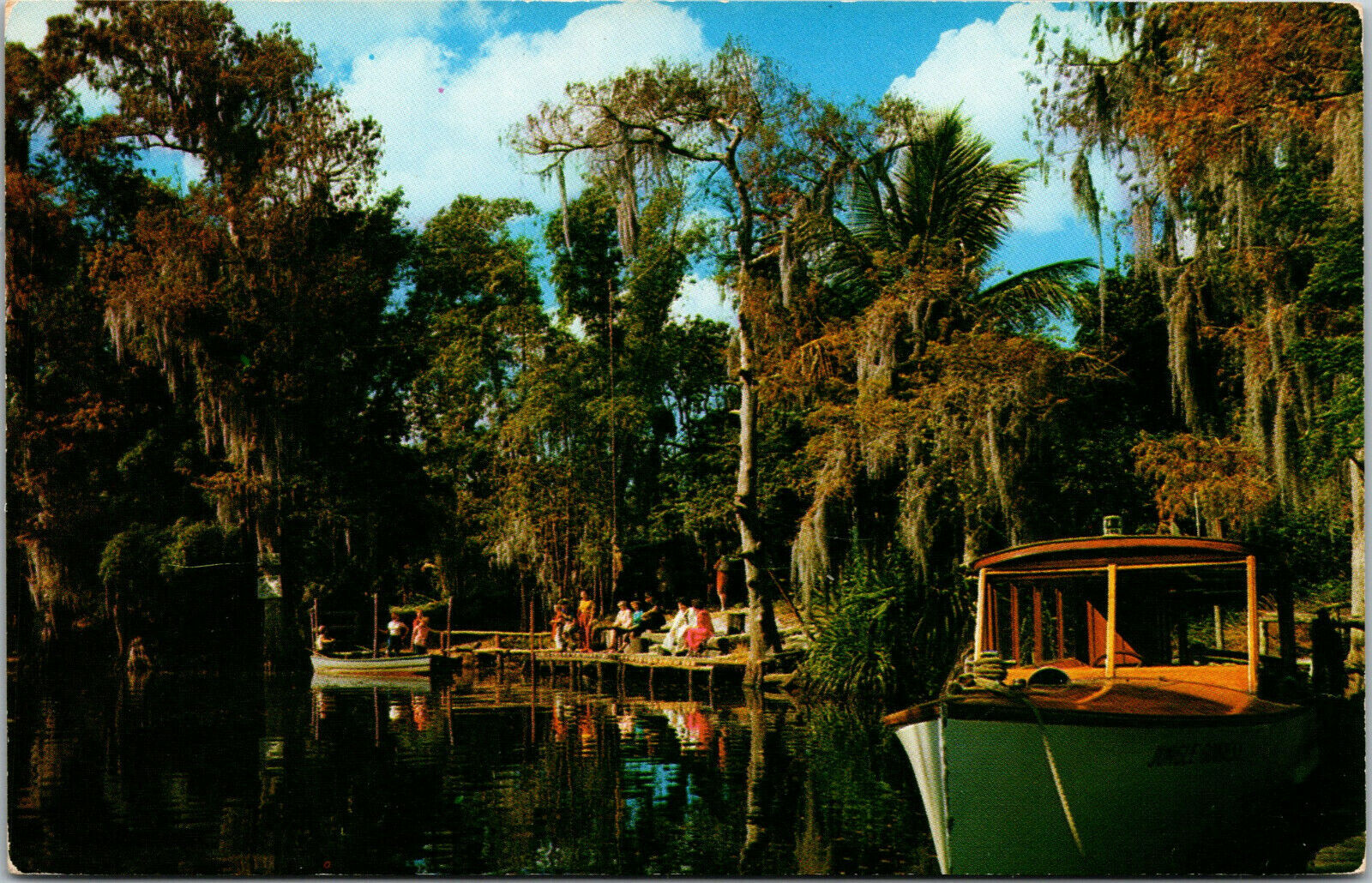 Vtg Palm Beach Ferry & Jungle Dock Jungle Cruise Everglades Florida FL ...