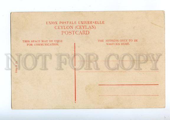 173800 CEYLON nude Rodiya Girls Vintage postcard | Topics - Cultures ...