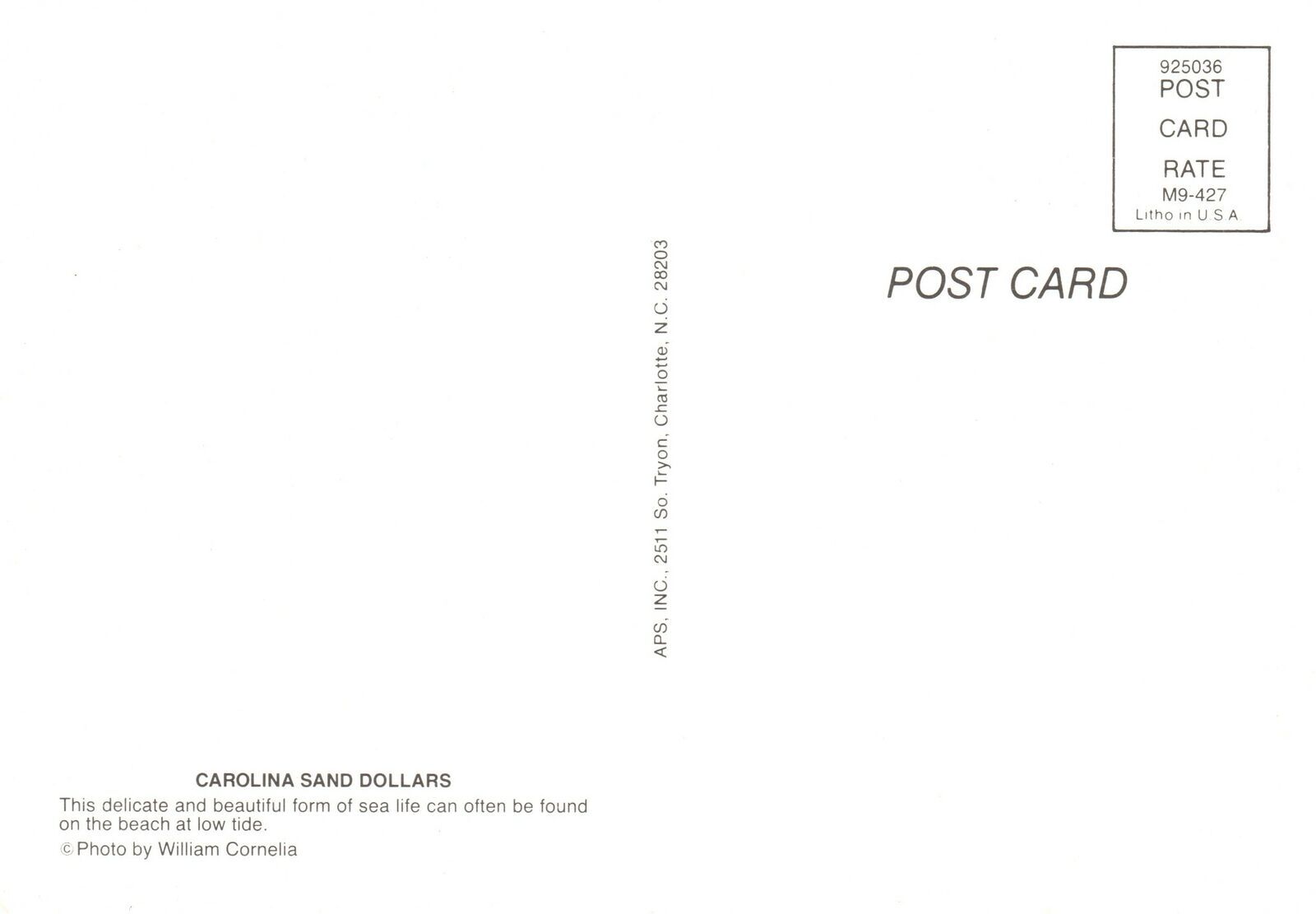 Vintage Postcard The Legend of Carolina Sand Dollars Sea Life Sea ...