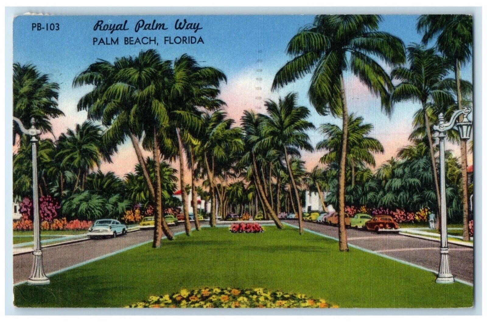 1964 Royal Palm Way Street Road Pine Trees Palm Beach Florida Vintage ...