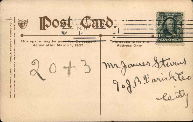 Charles Twelvetrees Fantasy Hippo Girl Tennis Racket Sweet Little ...