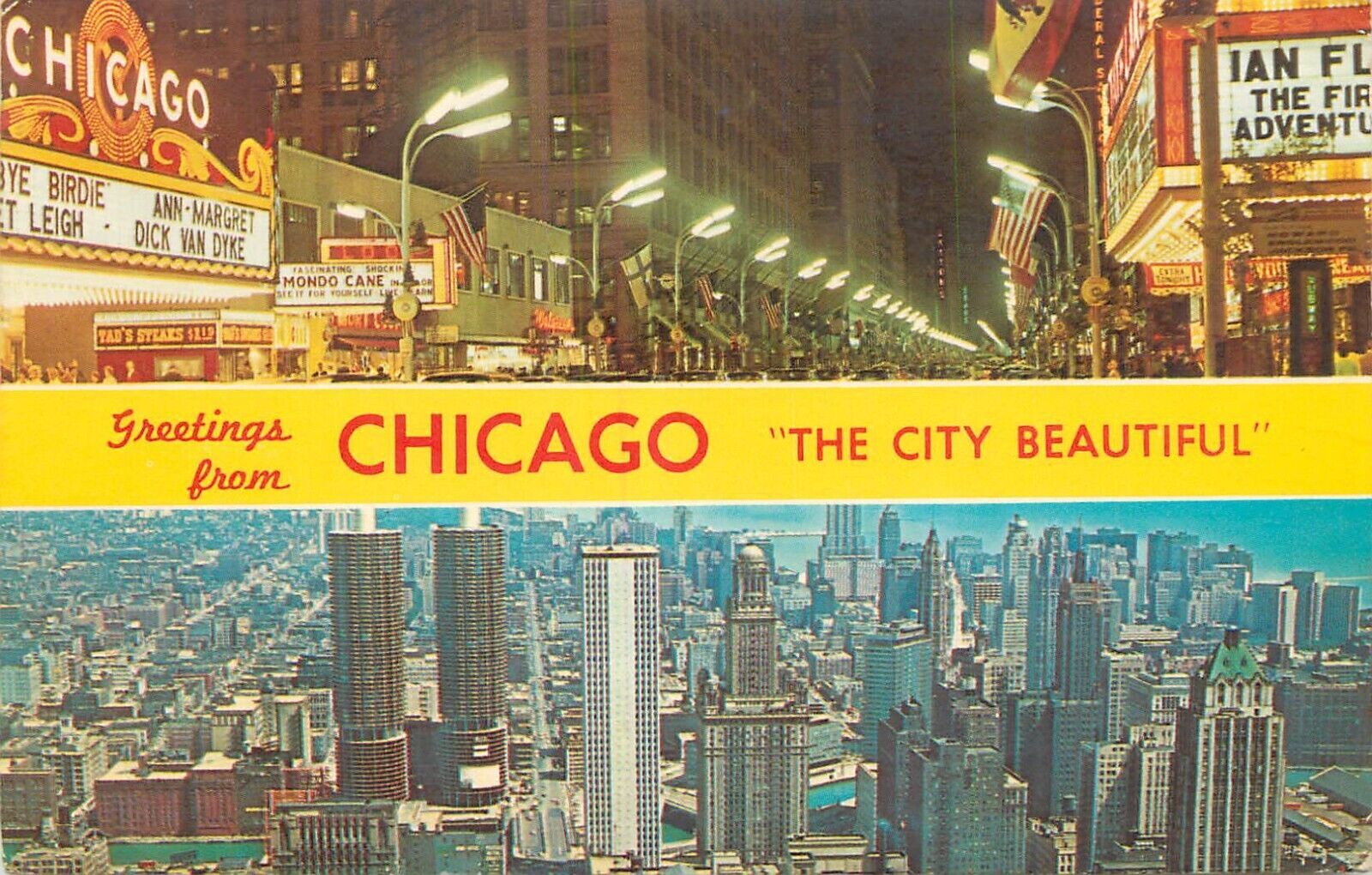 Postcard United States Chicago Illinois Downtown skyline night view ...