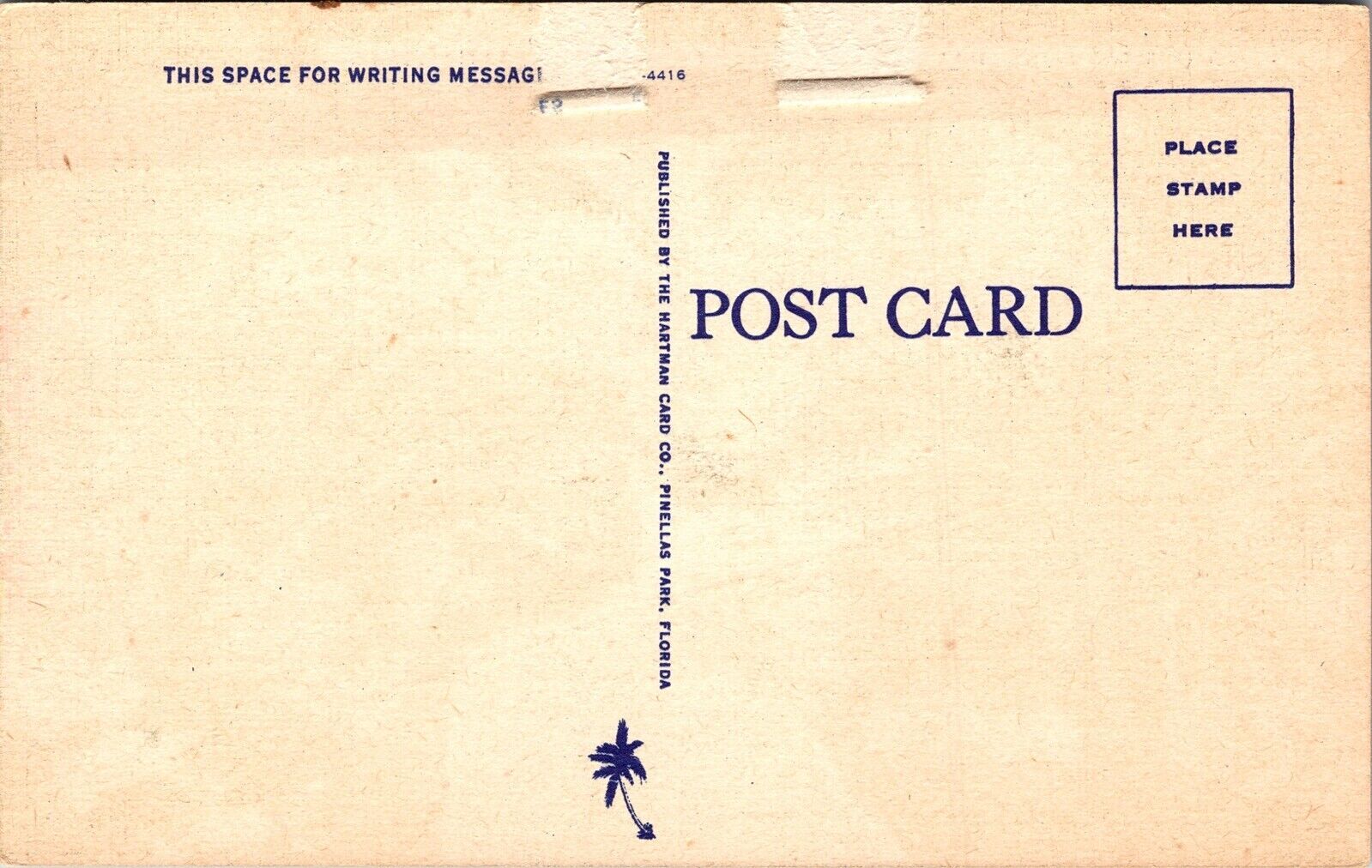 Azaleas Palm Trees Sunshine State Florida Walkway Flowers UNP Vintage ...