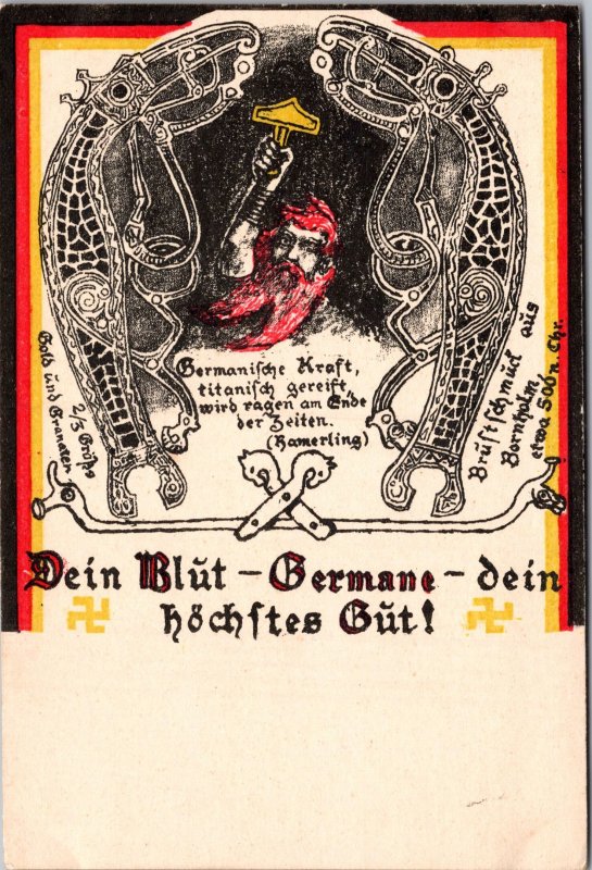 Mint Germany Early Nazi Party Postcard Blood Nordic Symbols | Europe ...