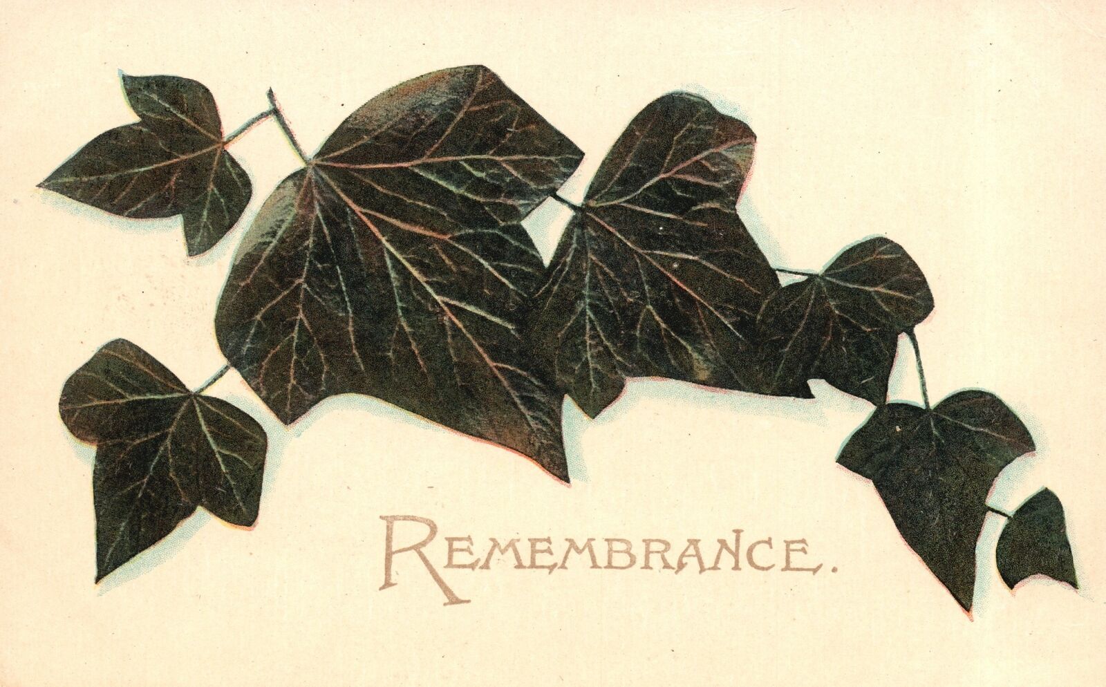 Vintage Postcard 1910's Remembrance Friendship Card To Someone | Other ...