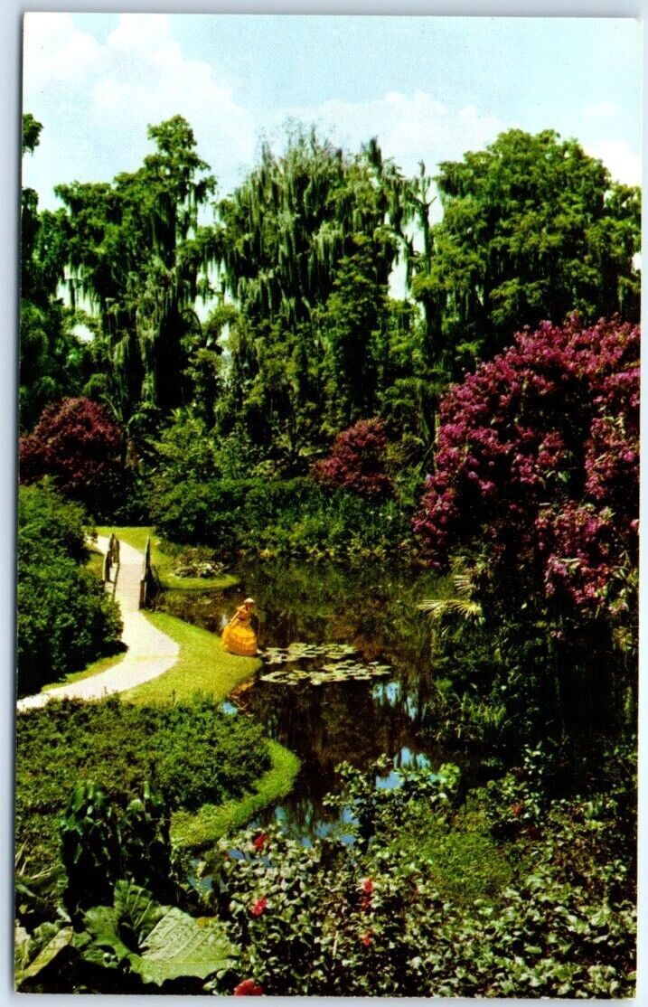 Princess Flower "Royalty In Bloom" At Beautiful Florida's Cypress ...