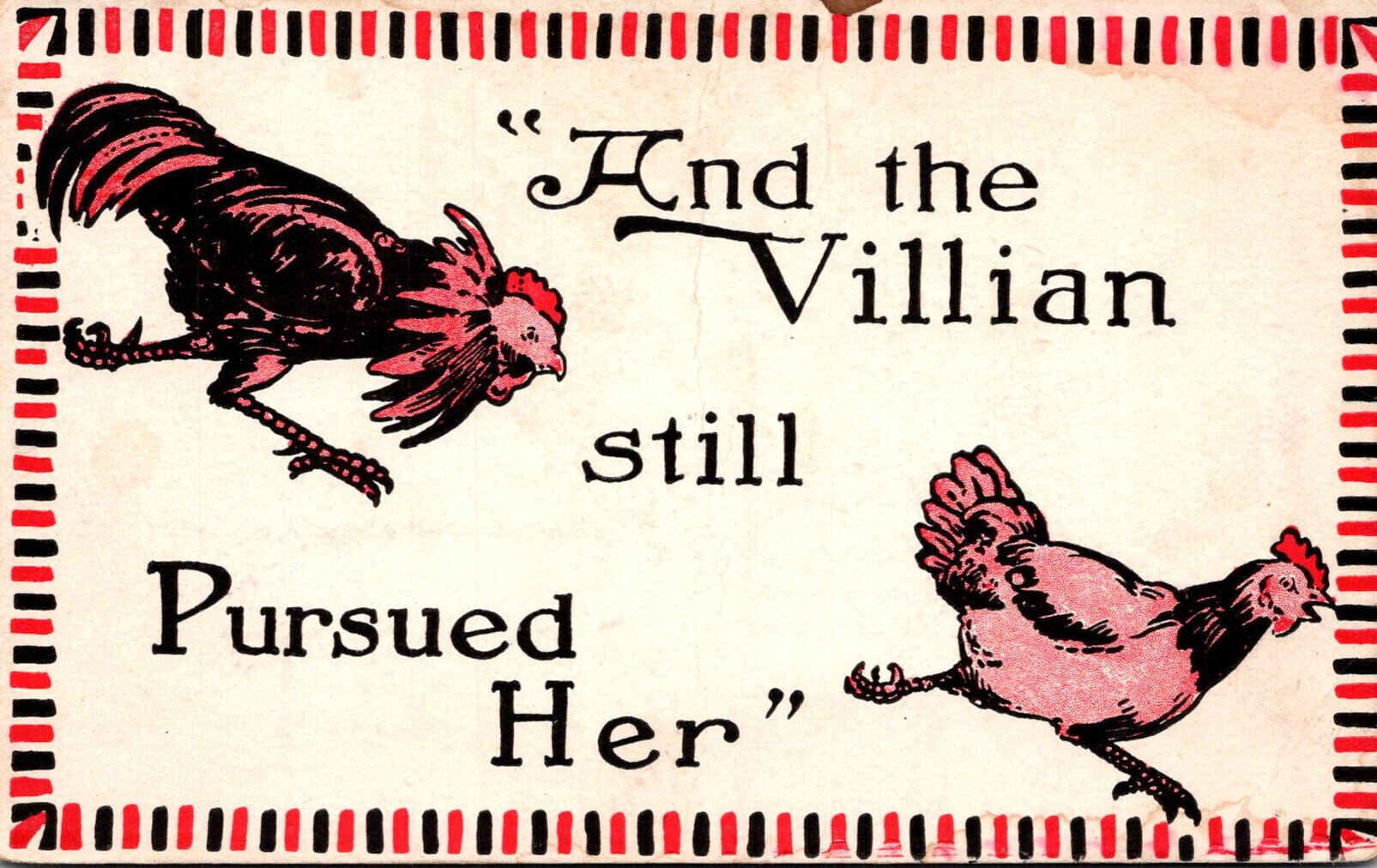 Humour Rooster Chasing Hen And The Villain Still Pursued Her | Topics ...