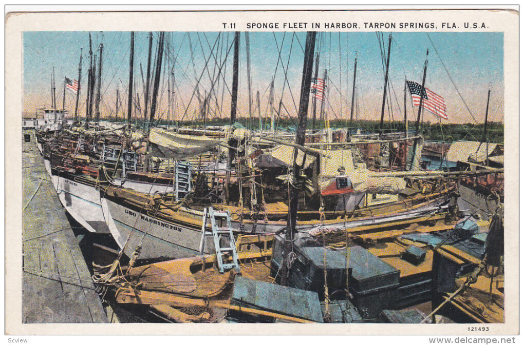 Sponge Fleet , TARPON SPRINGS , Florida , 1910s | United States ...