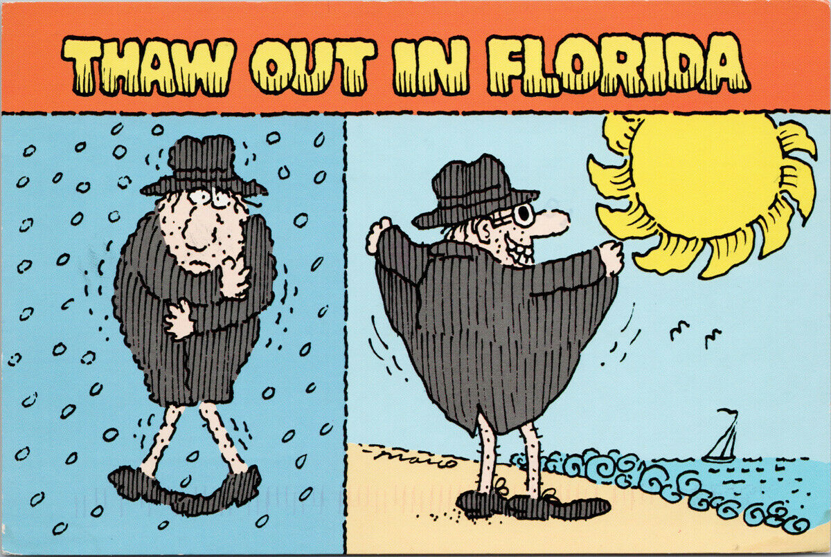 'Thaw Out In Florida' Man at Beach Comic Funny Humour Sun Rain Postcard ...