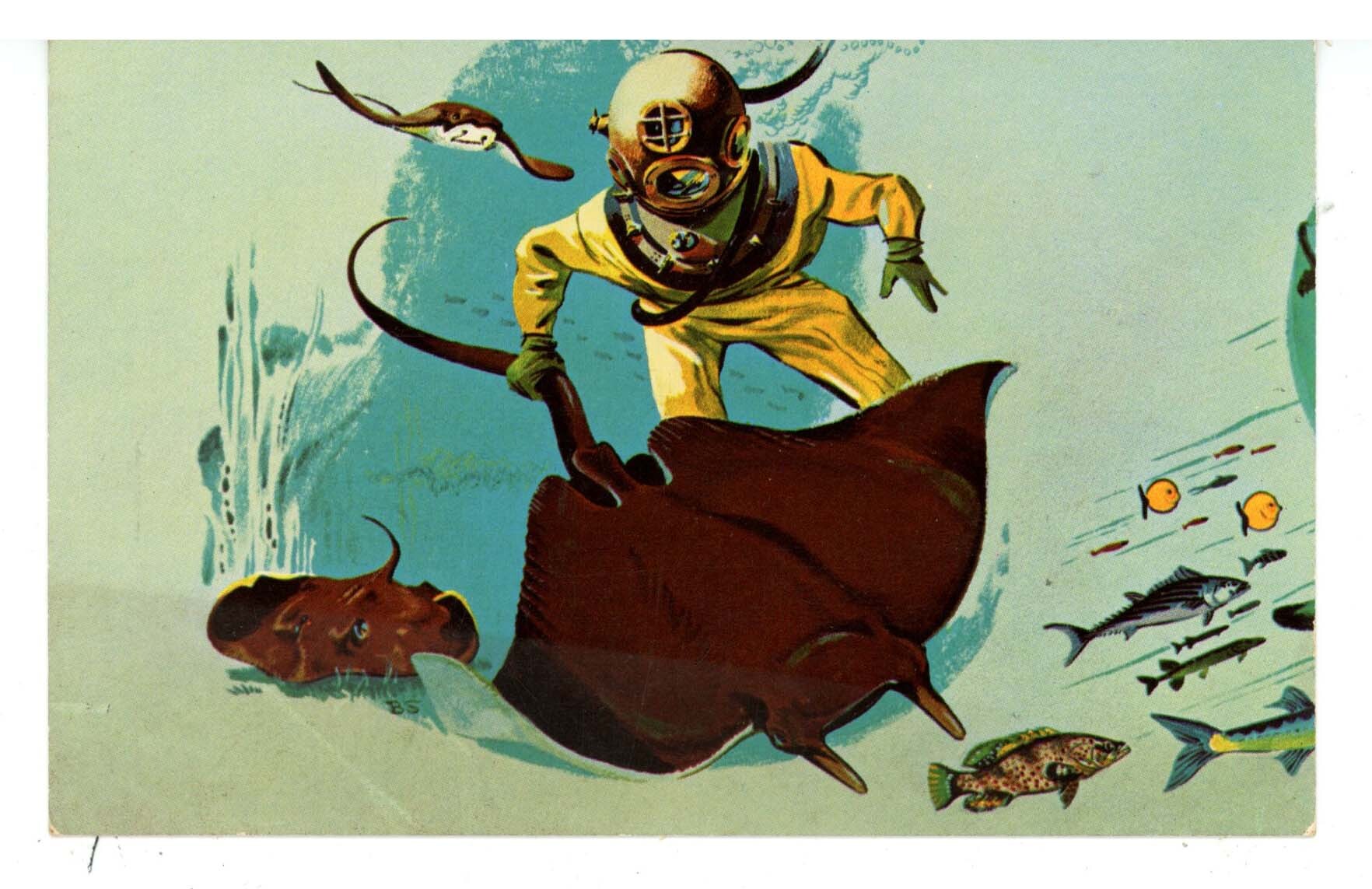 FL - Miami. Miami Seaquarium, Diver Sea Creatures | United States ...