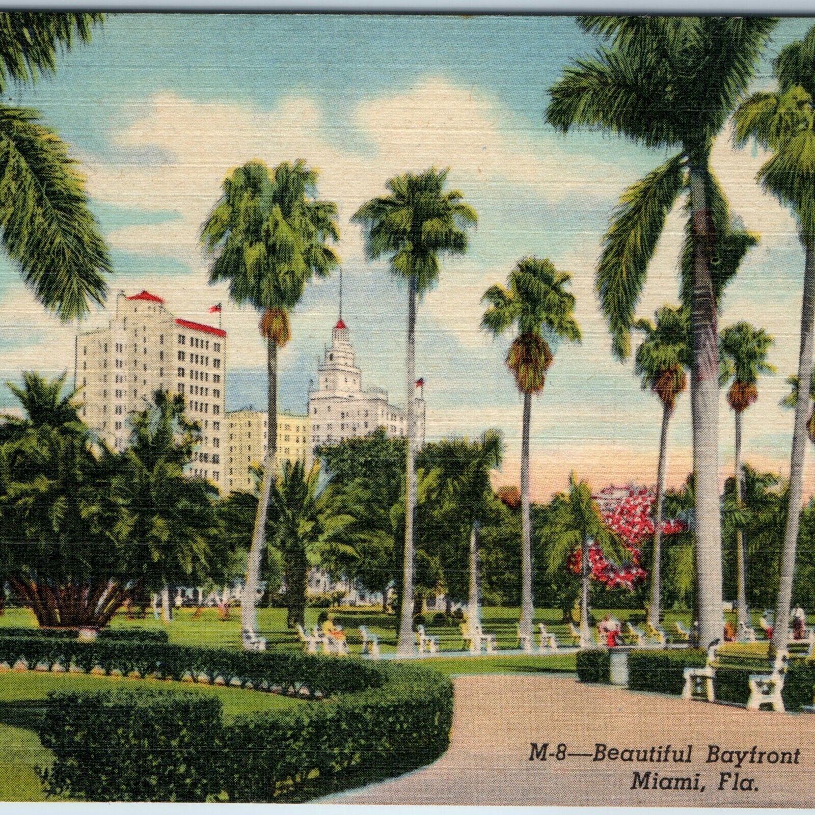 1951 Miami, FL Lovely Bayfront Park Palm Tree Landscaping Teich Gulf ...