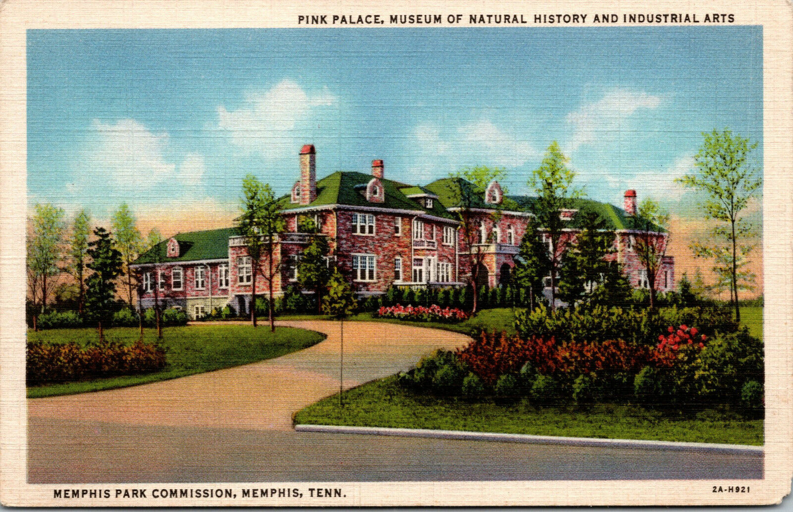 Vtg 1930s Pink Palace Museum of Natural History Memphis Tennessee TN ...