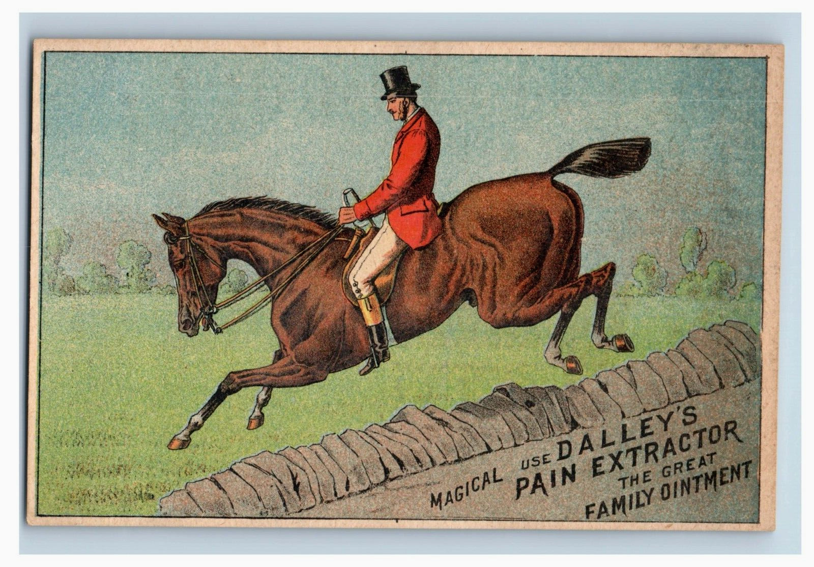 1870s-80s Dalley's Magical Pain Extractor Equestrian Horse Fab! F151 ...