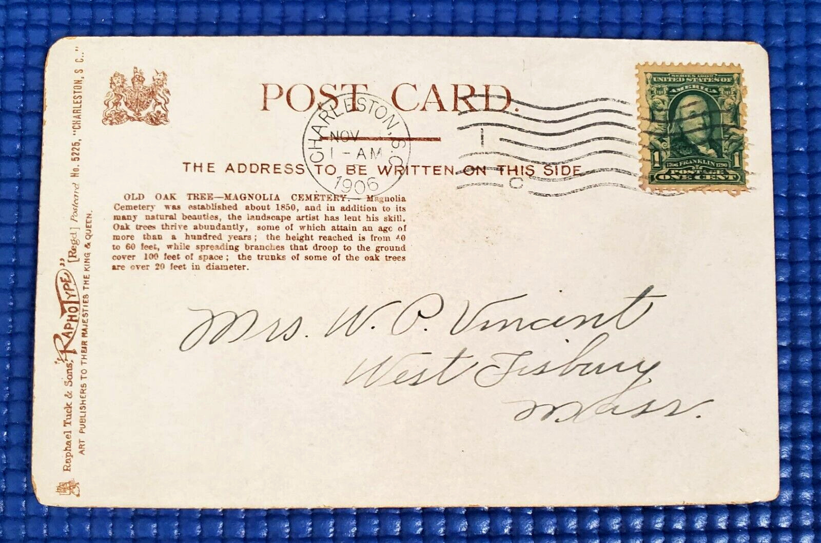 Vintage 1906 Old Oak Tree Magnolia Cemetery Charleston SC Raphael Tuck ...