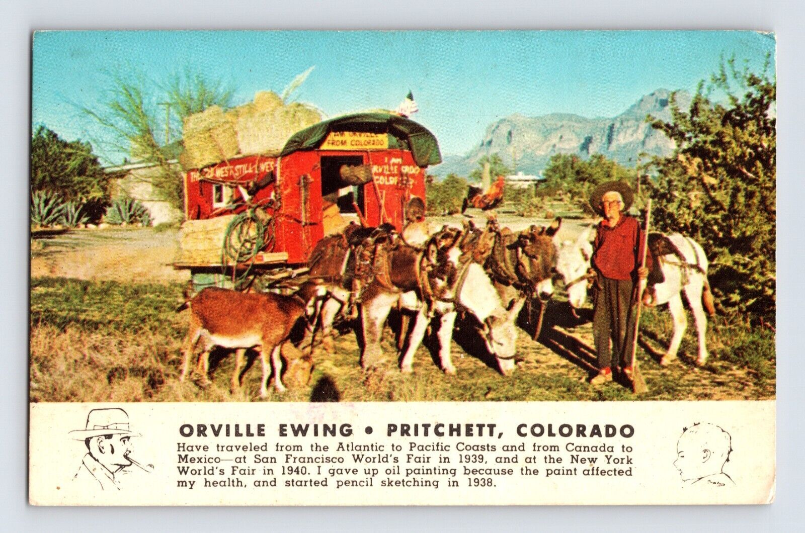 Postcard Colorado Pritchett CO Orville Ewing 1960s Unposted Chrome ...