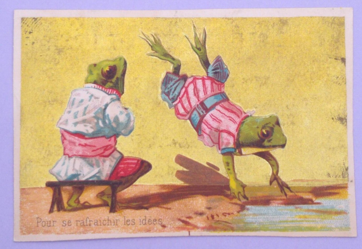 1890s Anthropomorphic Frogs Swimming Practice Victorian Greeting Trade ...