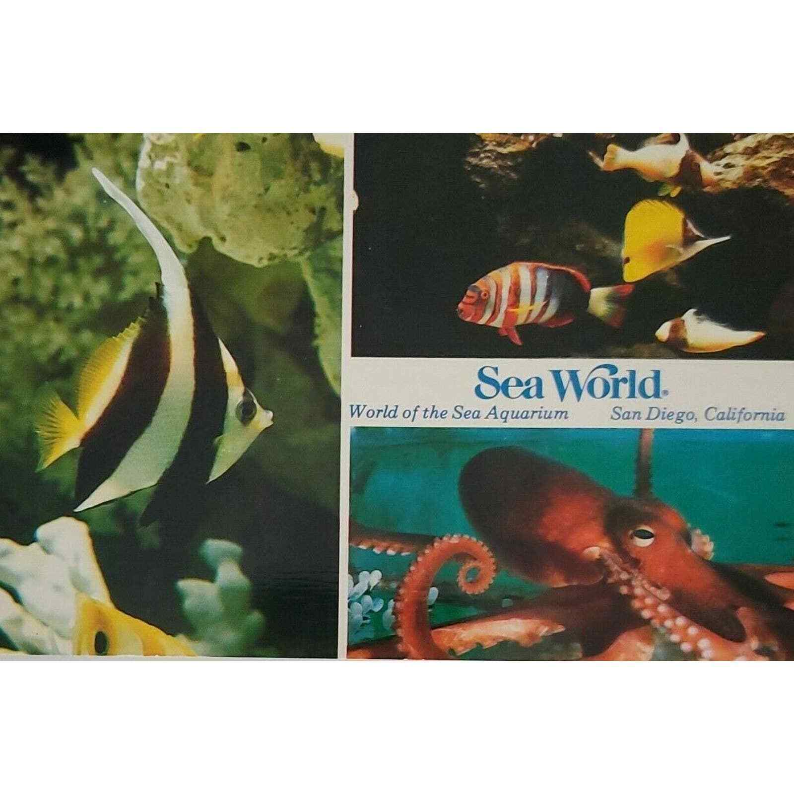 World of the Sea Sea World Orlando San Diego Aurora Postcard Octopus ...