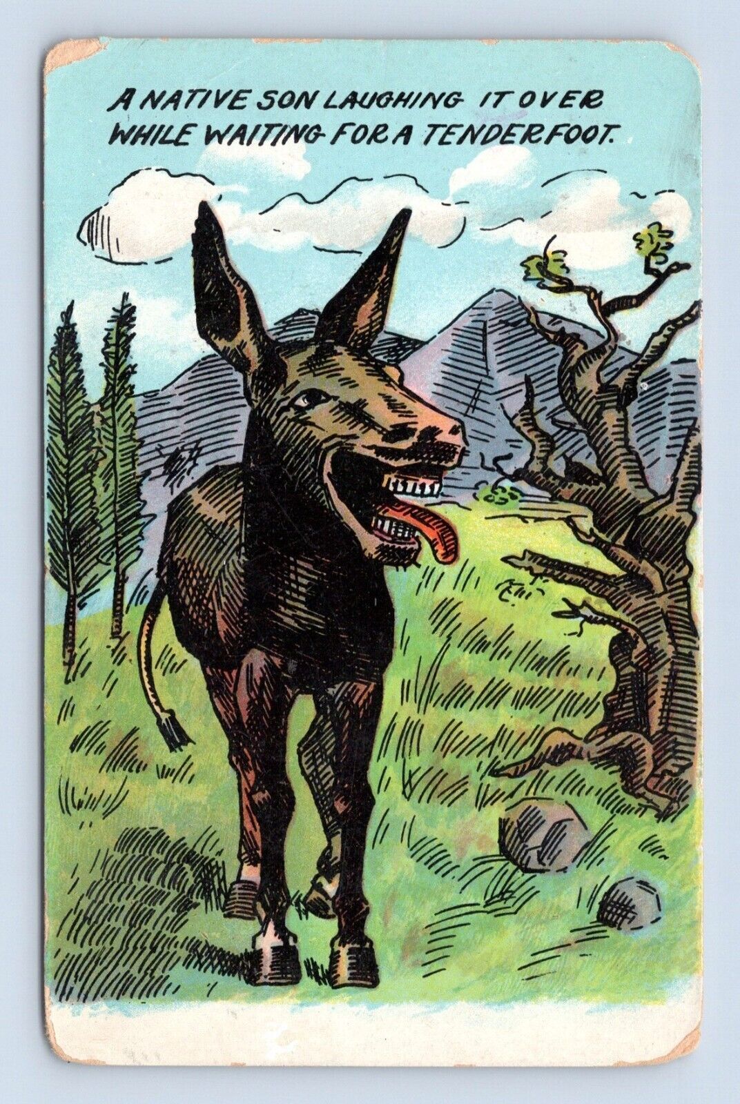 Native Son Donkey Mule Laughing it Over Humor 1910 DB Postcard M5 ...