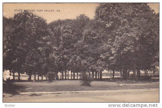 Scene Around Fort Valley, Showing Many Trees, Fort Valley, Georgia ...