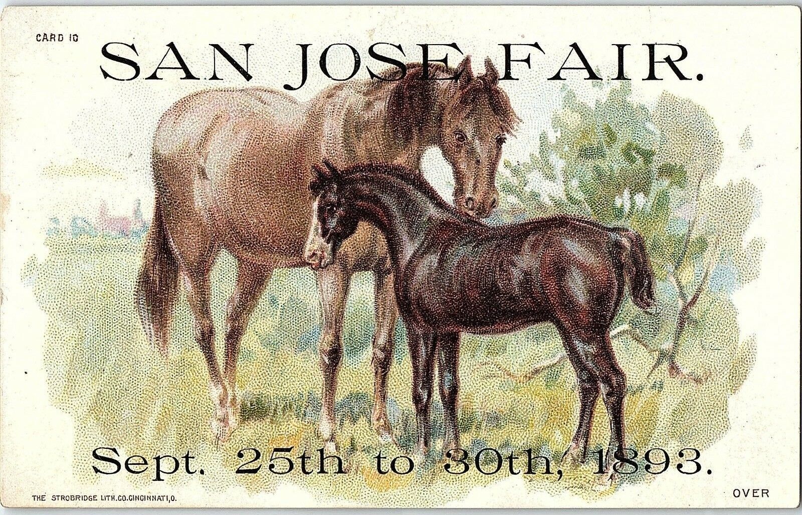 1893 Horses, San Jose Fair, Ca. Victorian Trade Card P34 | Ephemera ...