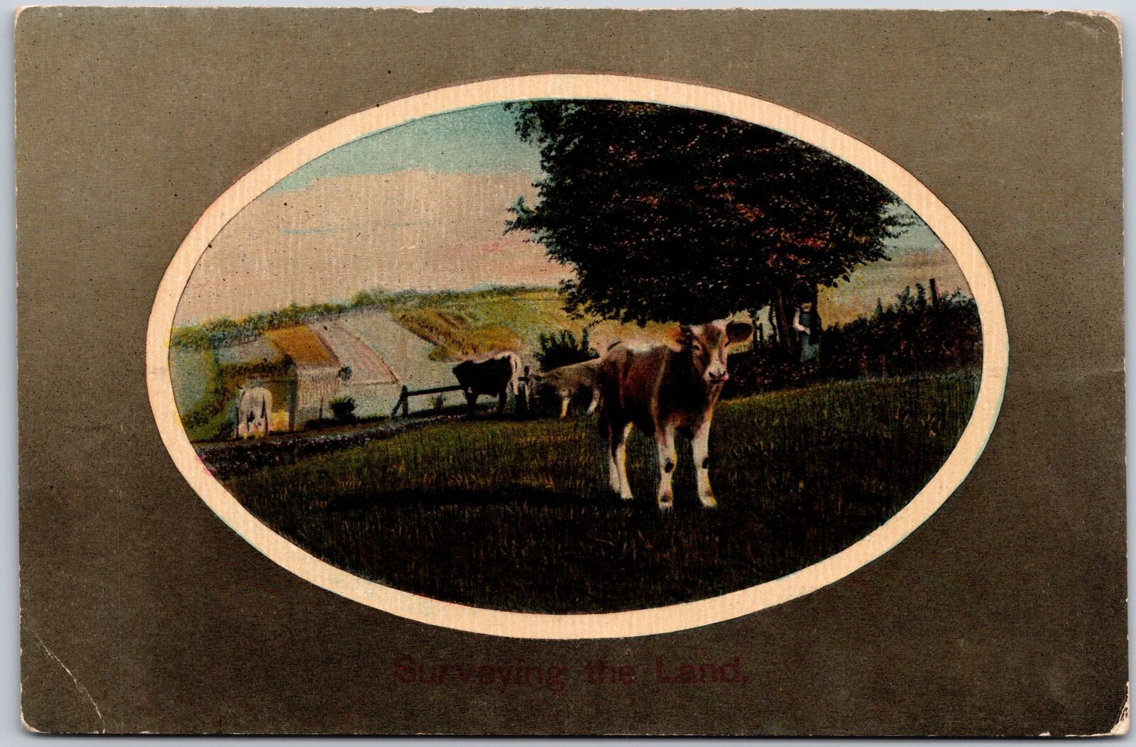 1910's Cattle Farm Countryside Living Farming Surveying the Land Posted ...