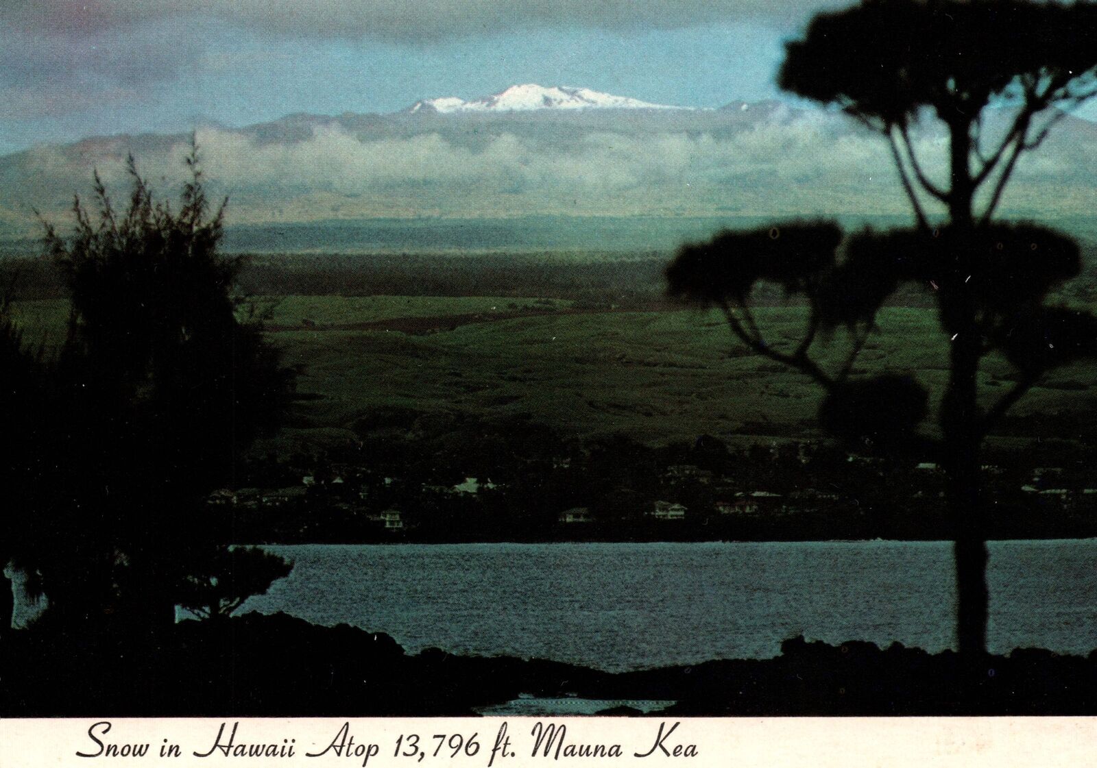Continental Size Postcard Snow in Hawaii Atop 13,796 Foot Mauna KEA ...