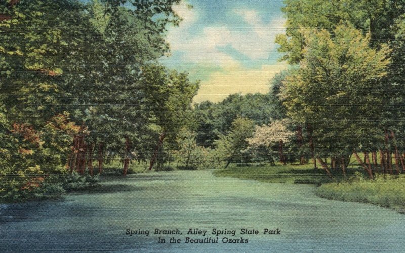 Vintage Postcard Spring Branch Springs Alley State Park Ozark Eminence ...