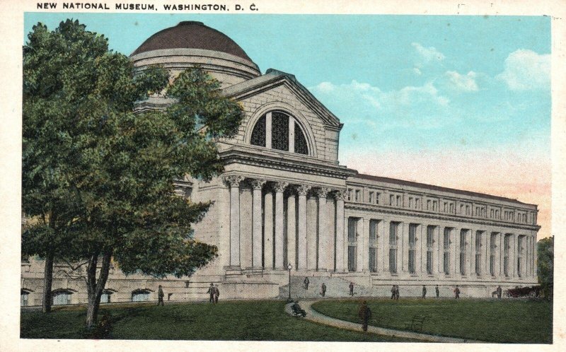 Vintage Postcard 1920's View of New National Museum Building Washington ...