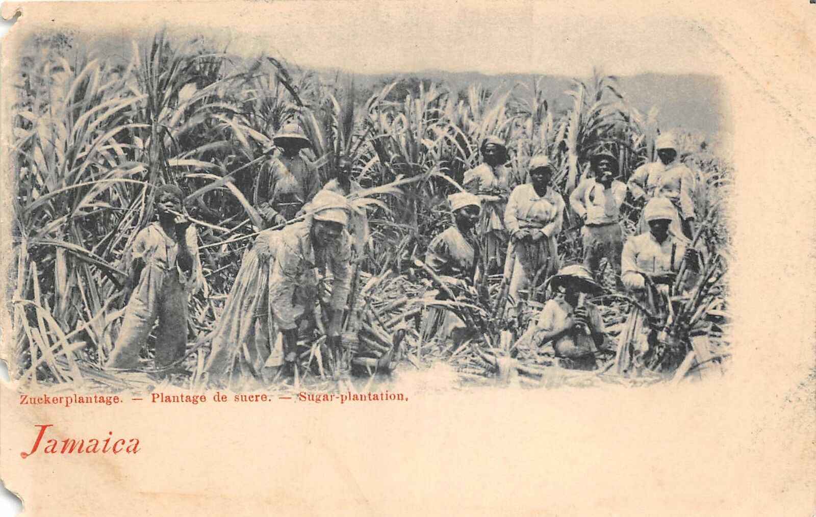 US5466 jamaica caribbean sugar plantation types folklore | Latin ...