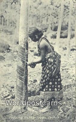 Tapping Rubber Trees Ceylon Ceylon, Sri Lanka Unused | Other / Unsorted ...