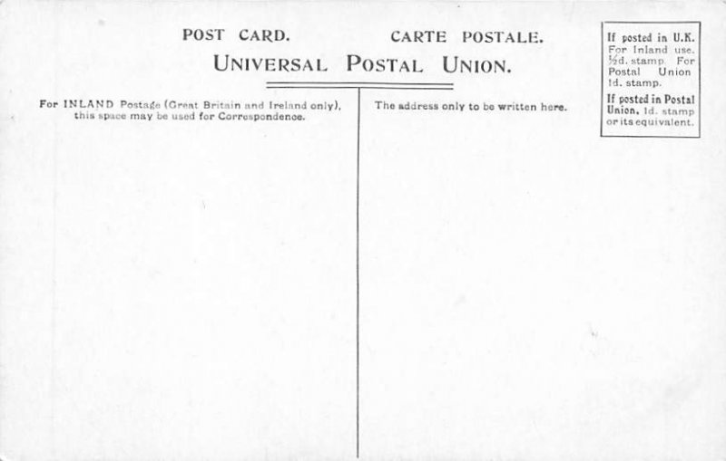 SS Celtic White Star Line Unused | Topics - Other, Postcard / HipPostcard