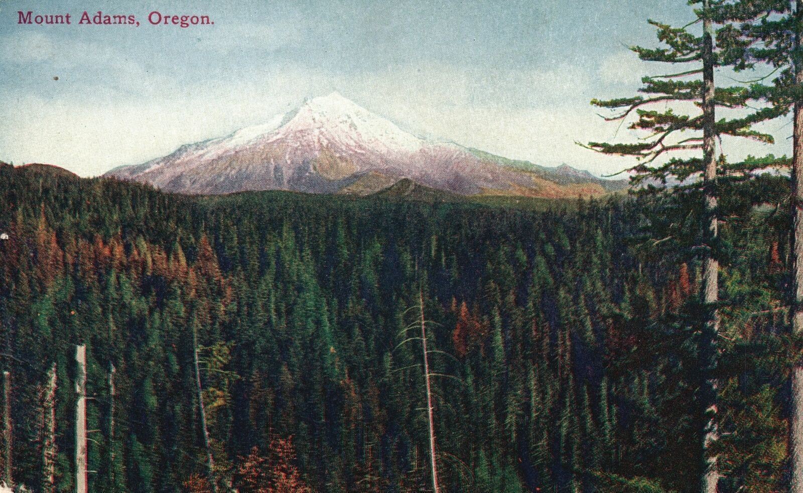 Vintage Postcard 1910's Mountain Mt. Adams Summit Hike Hiking Portland ...
