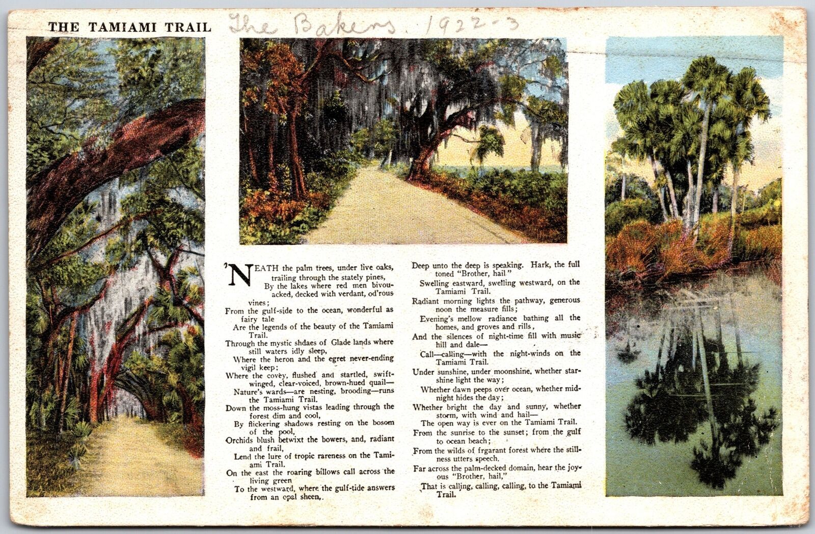 1920's The Tamiami Trail Florida FL Pathway Through Oak Trees Posted ...