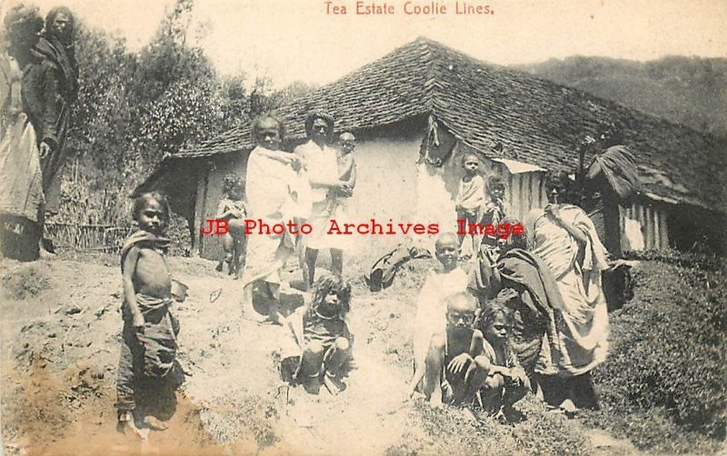 Ceylon, Sri Lanka, Tea Estate Coolie Lines in Native Ethnic Folklore ...