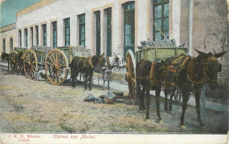 Mexico carros con mulas donkey carts early postcard 1900s | Latin ...