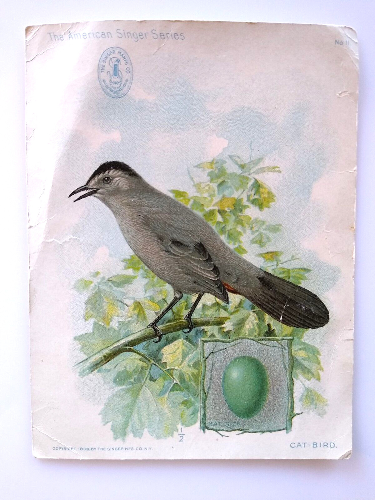 American Singer Sewing Machine Series Victorian Trade Card Cat-Bird Egg ...