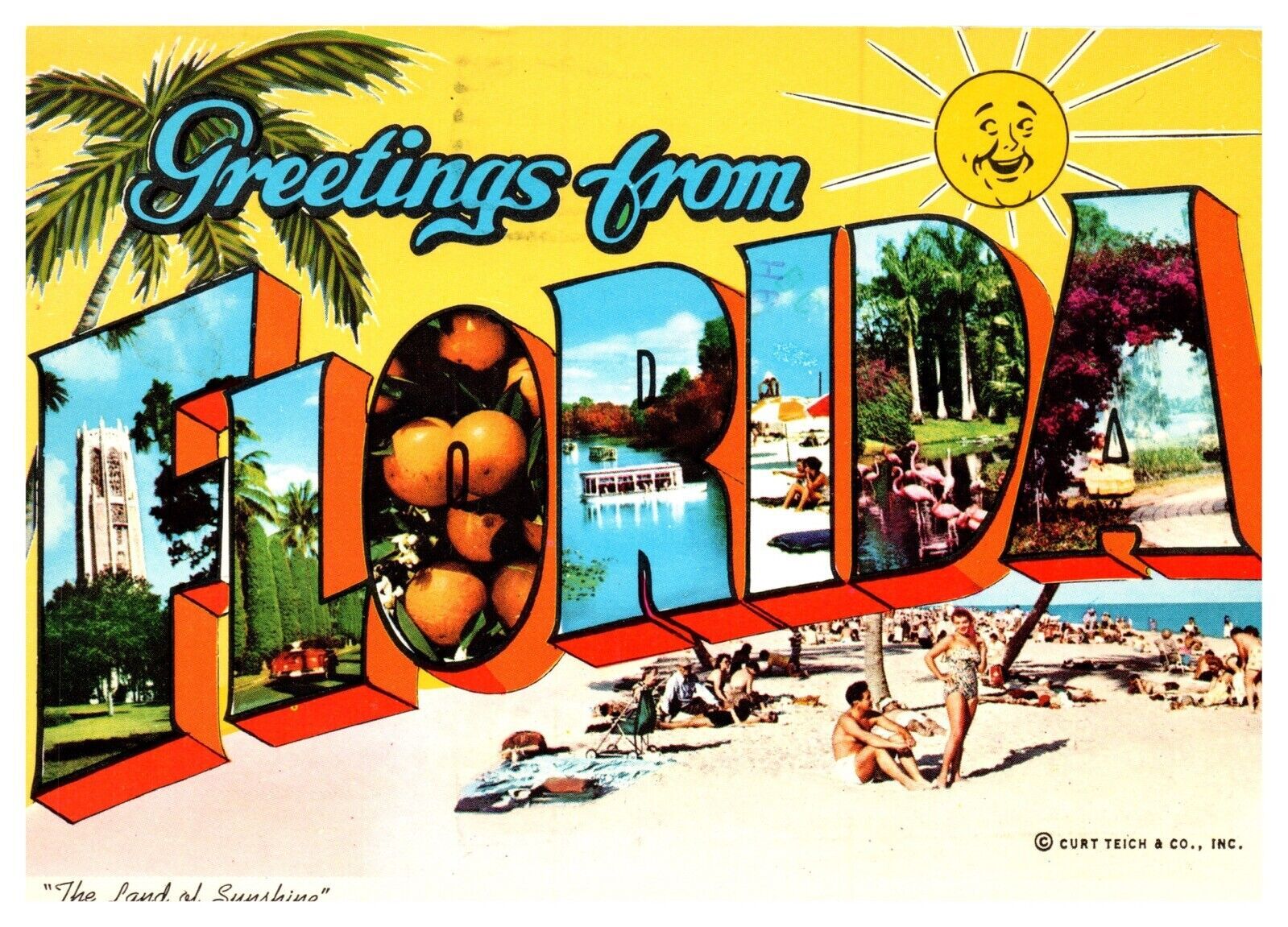 Florida Multi View Sunshine State Beach Tropical Posted Cancel Chrome ...