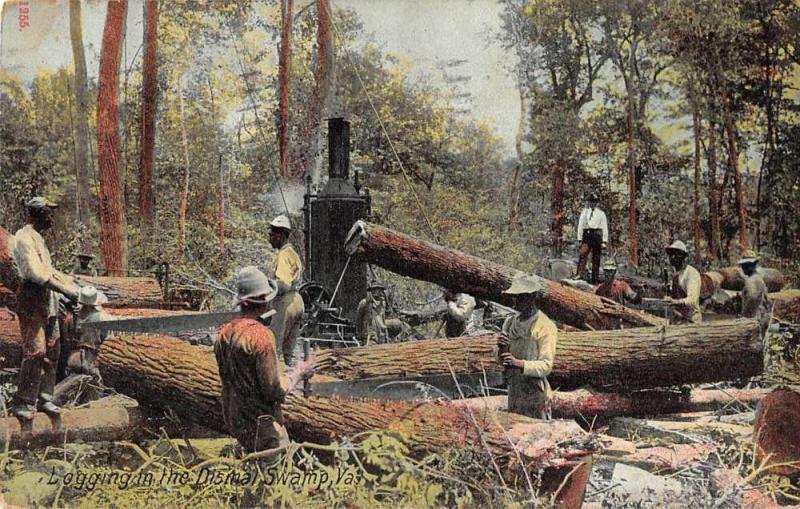 Norfolk Virginia Logging Black Americana Antique Postcard J75091 ...