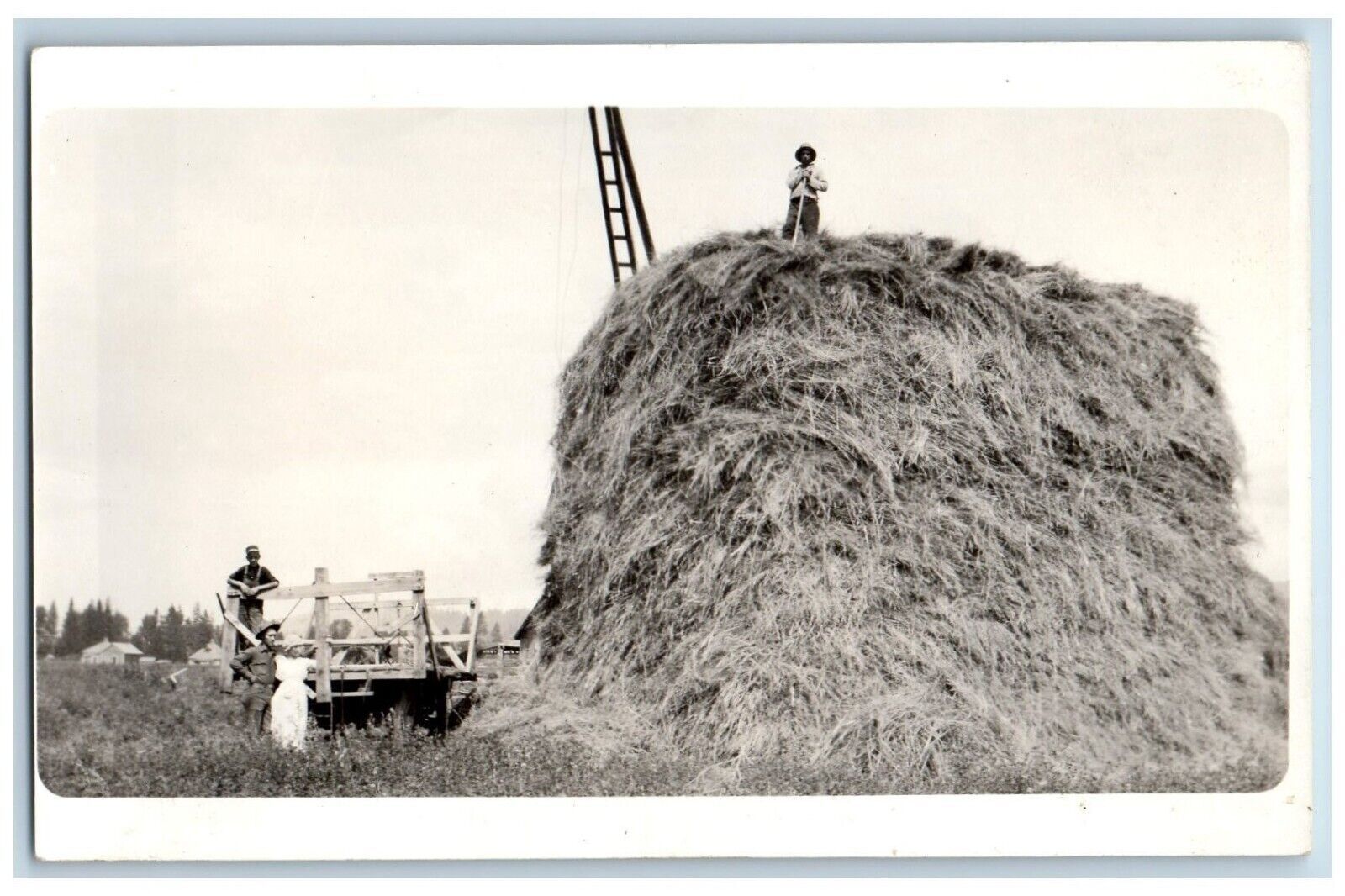 Hay Stack Farming Postcard RPPC Photo Farmers Scene Field c1910's ...