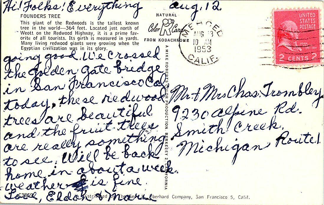 World's Tallest 364 Feet Founders Tree CA Vintage Postcard Standard ...