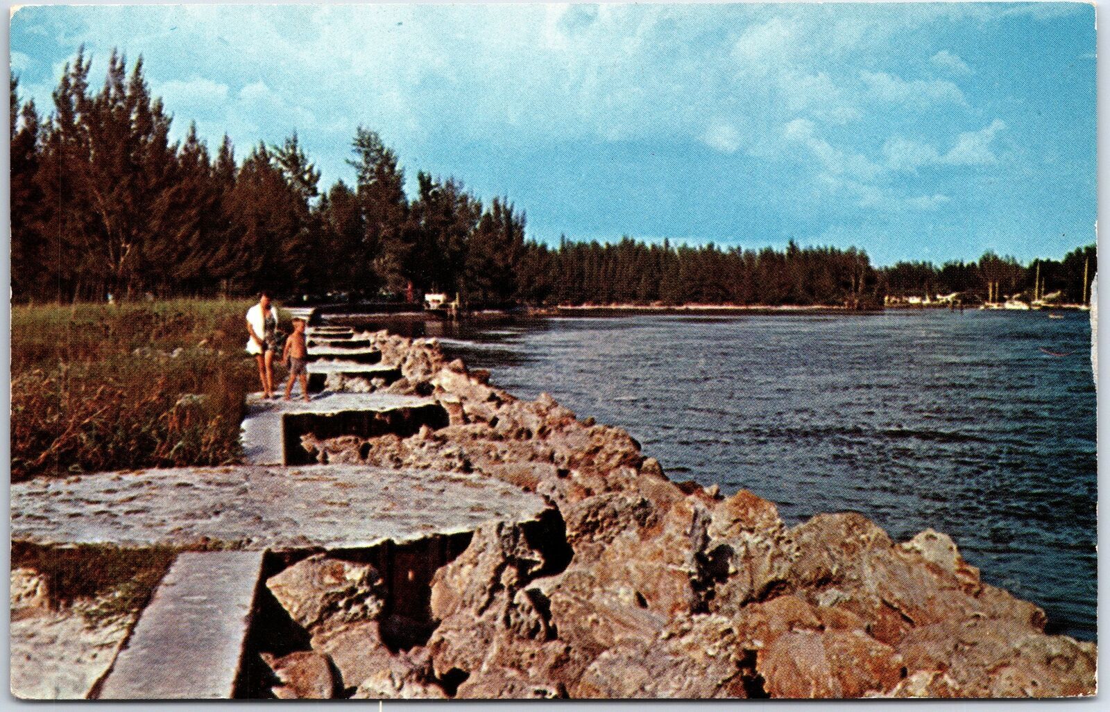 Vintage Postcard View of the North Jetties at Casey KEY Nokomis Florida ...
