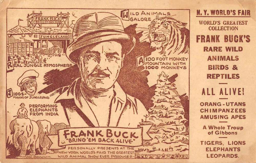 New York Worlds Fair Frank Buck Rare Wild Animals Vintage Postcard ...
